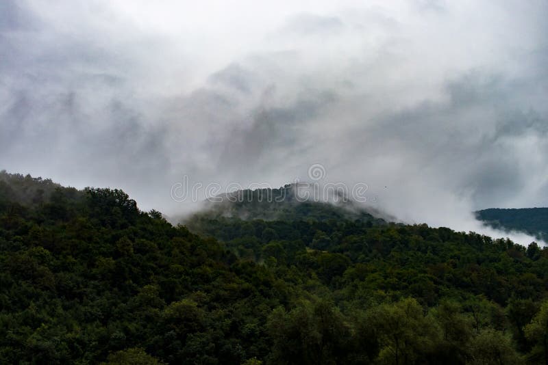 Fog Over Forest Covered Mountains with Fog Covered Valley between Them ...