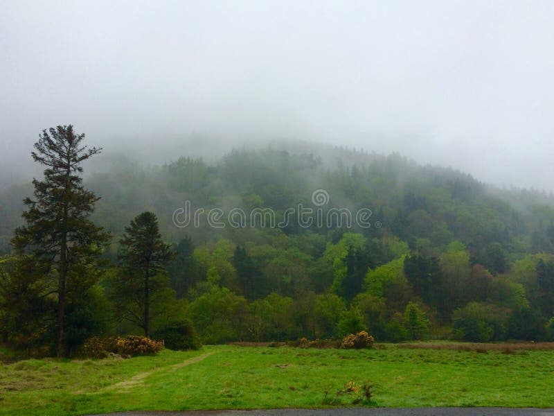 Fog Over Hillside, Glendalough County, Wicklow, Ireland Stock Photo ...