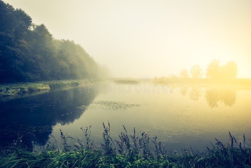 Fog over a lake stock photo. Image of autumn, forest - 98390782