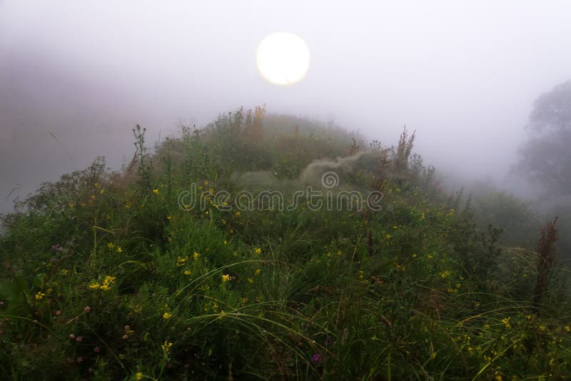Fog Over Mountain Meadows and Huge Misty Sun is Rising Stock Image ...