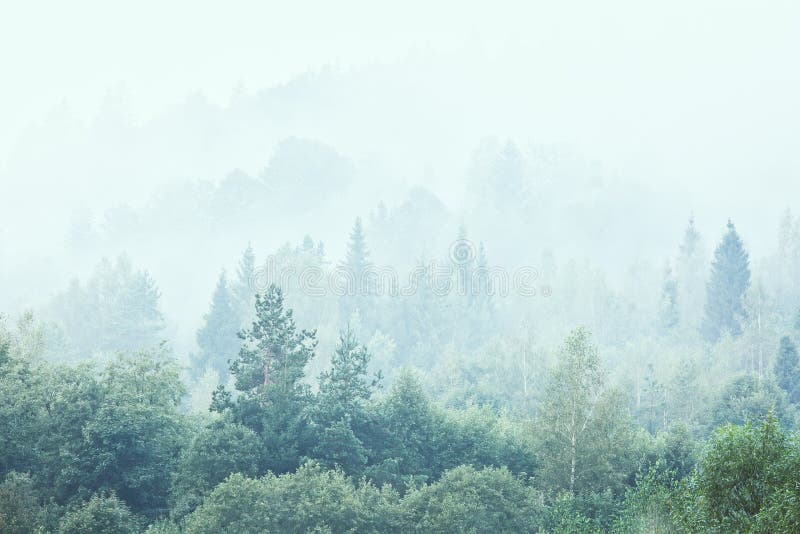 Fog Over Mountains, Natural Outdoor Background Stock Image - Image of ...