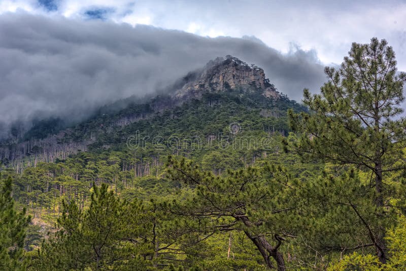 Fog Over the Mountains. Low Clouds Stock Image - Image of mist, nature ...
