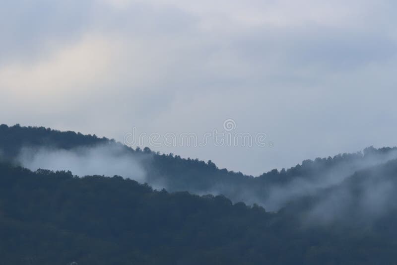 Fog Over Mountains with Trees Stock Photo - Image of clouds, background ...
