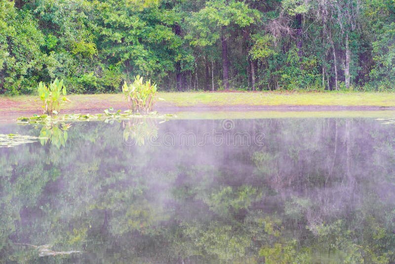 Fog Over Pond after Thunderstorm Stock Photo - Image of blue, lake ...