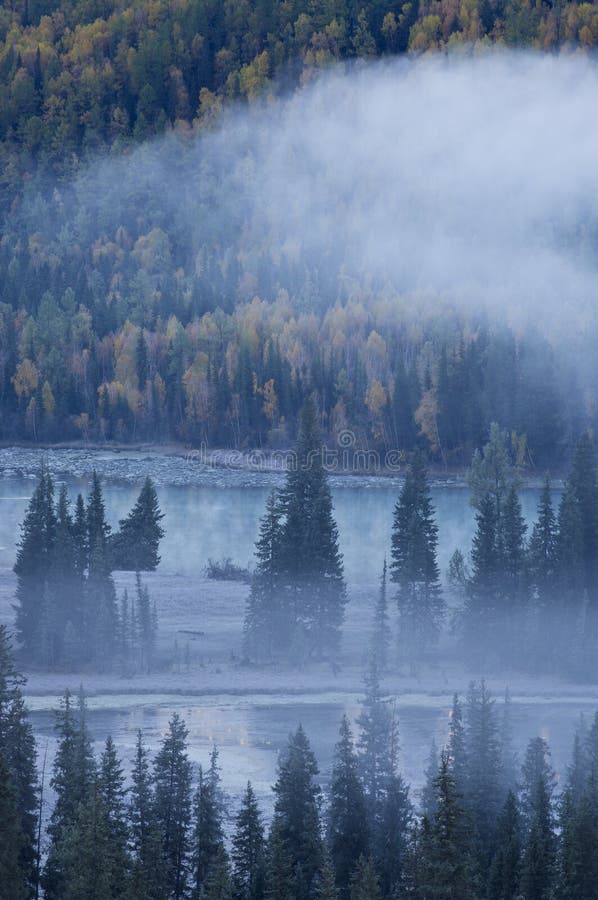 Fog Over River & Forest in Autumn Stock Image - Image of outdoor, larch ...