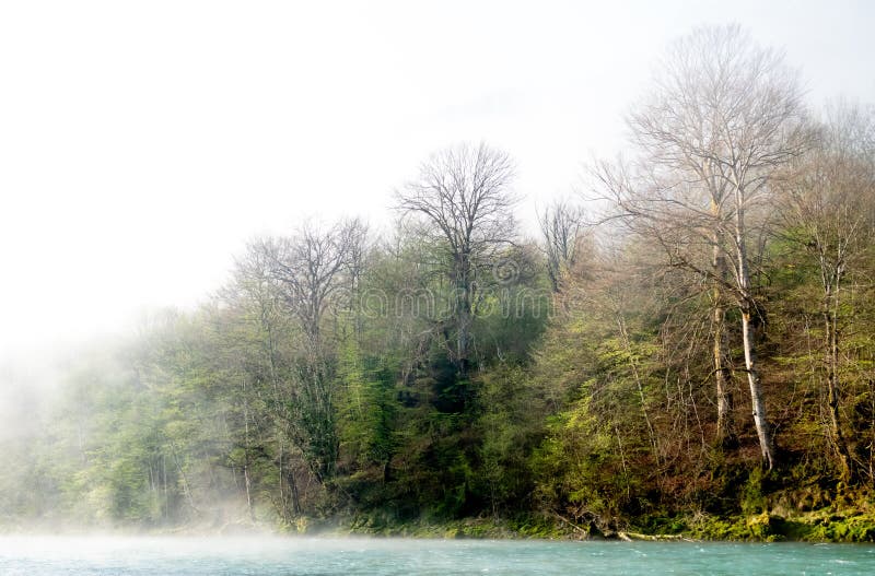Fog Over River in a Forest in Spring Stock Image - Image of ecology ...
