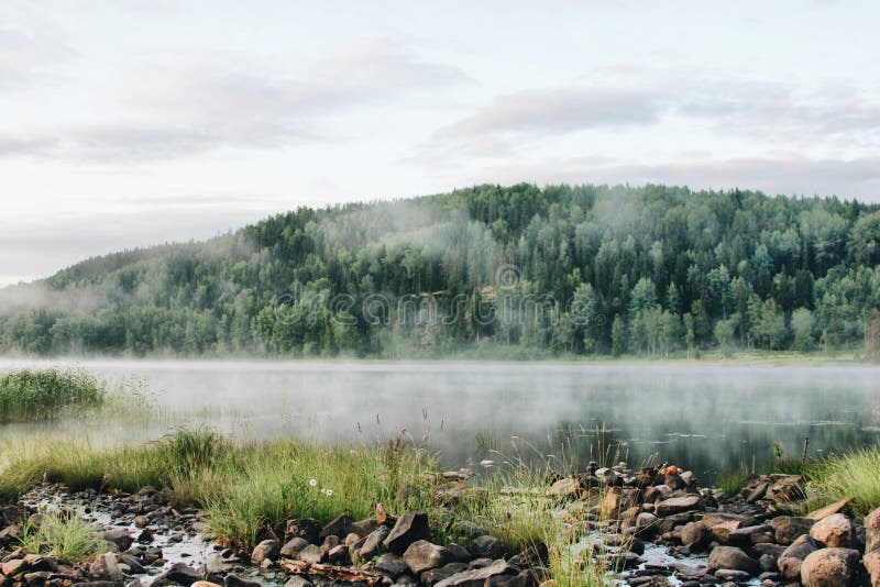Fog over the river stock image. Image of wetland, shore - 234984527