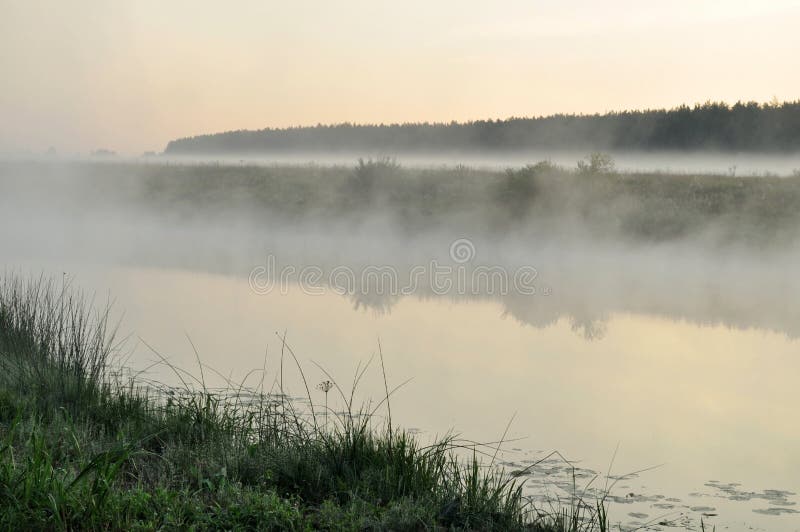 Fog over the river stock image. Image of water, summer - 41285709