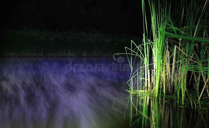 Fog Over River Water Surface in Night Time Stock Photo - Image of view ...