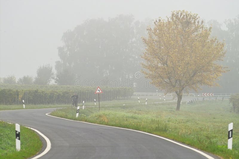 Fog over the road stock photo. Image of peacefull, green - 277282