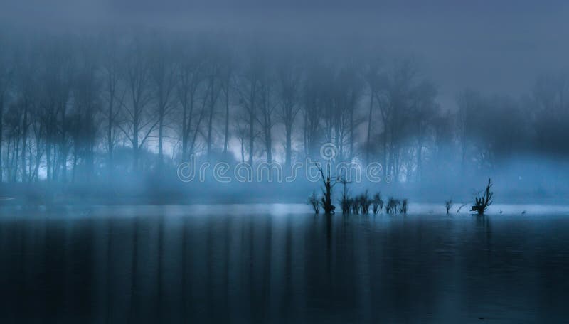 Fog over the water surface stock photo. Image of scenic - 45079762