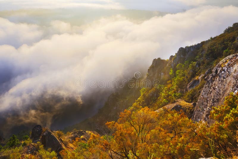 Fog over wooded mountains stock image. Image of sunset - 86592991