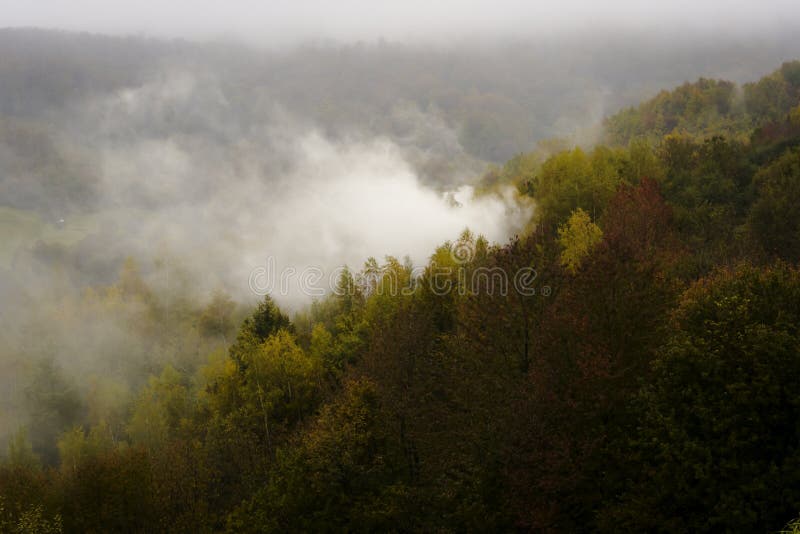 Fog rising from forest stock image. Image of outdoors - 186365599