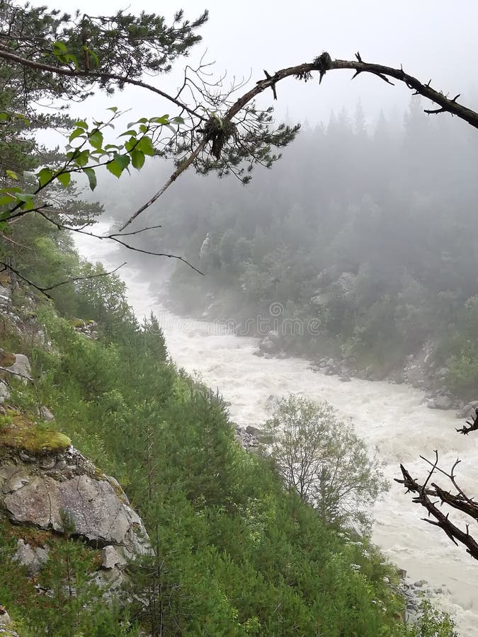 Fog on the river stock photo. Image of park, nature - 153449378