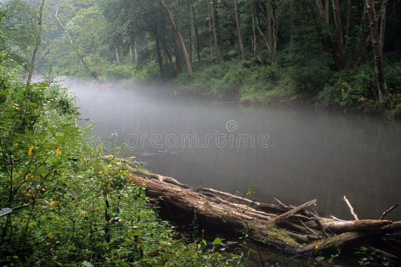 Fog on river stock image. Image of vegetation, water, green - 5594745