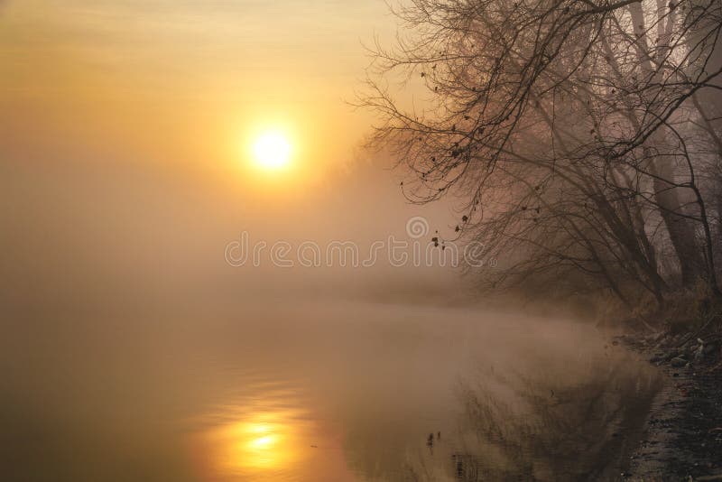 Fog on a river stock image. Image of autumn, foggy, park - 136383517