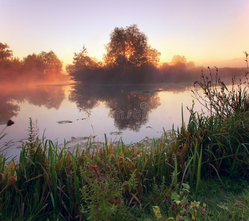 Fog on the river stock image. Image of landscape, idyllic - 45785799