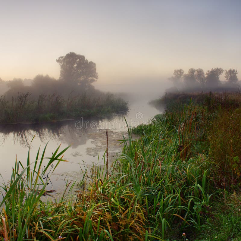 Fog on the river stock image. Image of morning, season - 45786127
