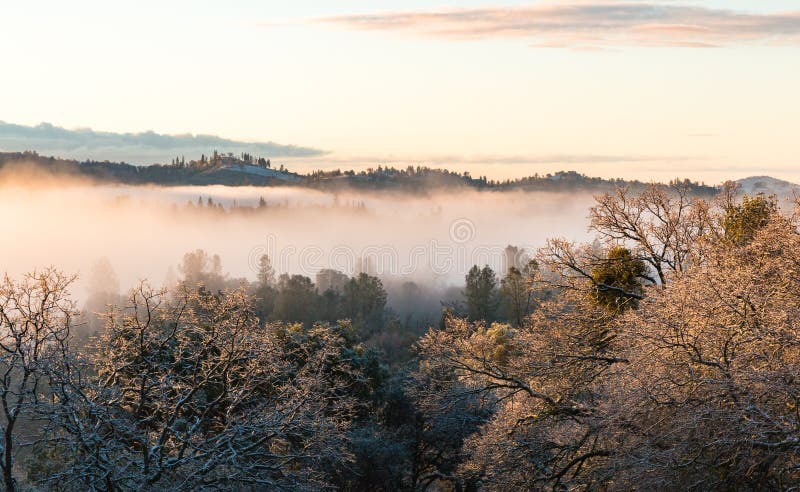 Fog Rolling through the Forest Stock Photo - Image of hill, horizon ...