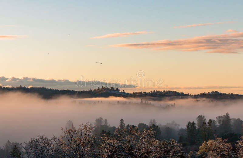 Fog Rolling through the Forest Stock Photo - Image of hill, landscape ...