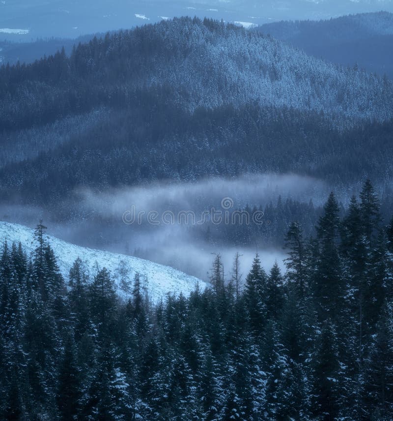 Fog is Coming from the Mountains and Trees during the Day Stock Photo ...