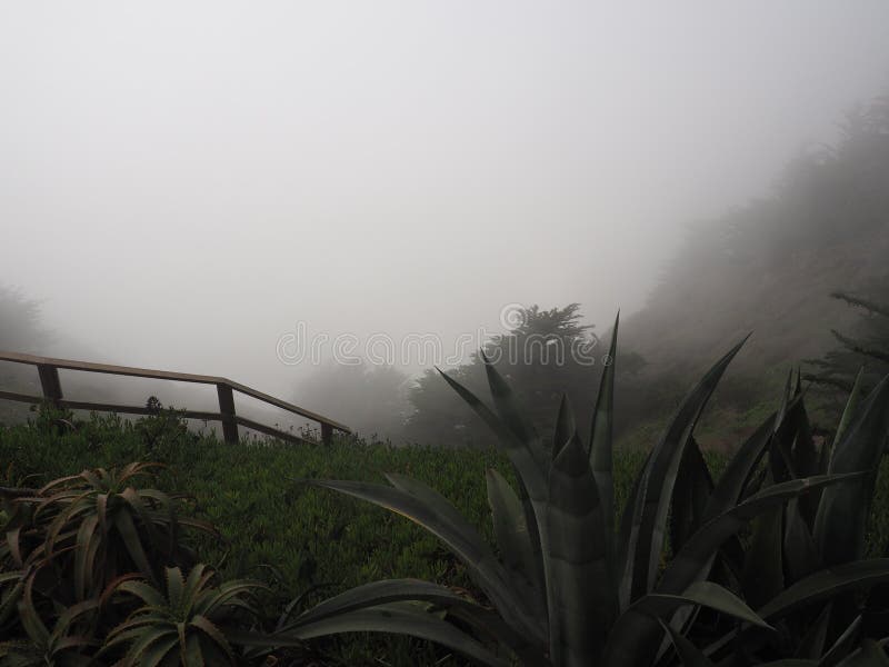 The Fog Rolls in during a Hike in Big Sur Stock Photo - Image of neatly ...