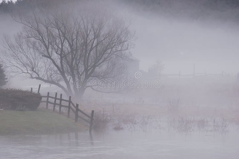 Fog Scene stock image. Image of winter, wetland, humid - 476317