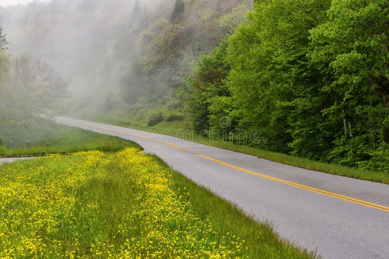 Fog Setting on Blue Ridge Parkway Stock Image - Image of green, nature ...