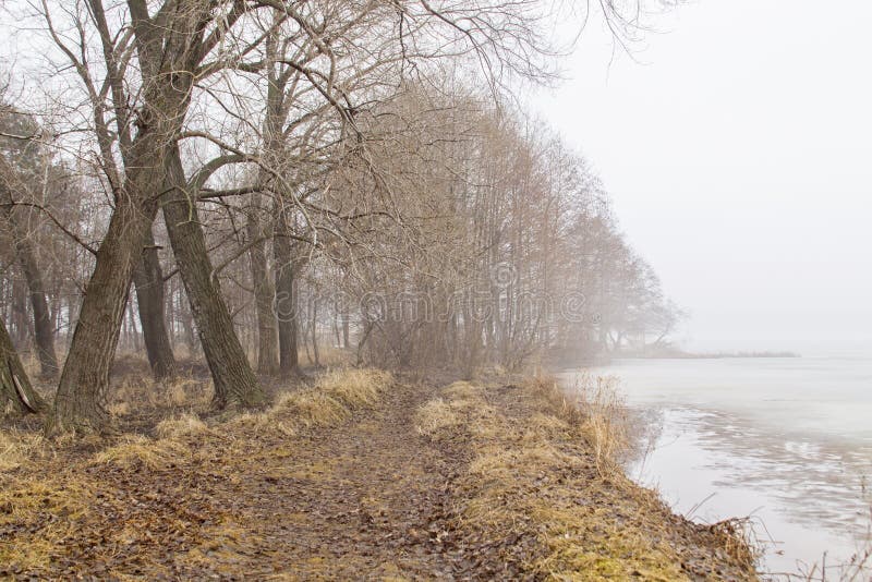 Fog on the shore stock image. Image of environment, calm - 89199341