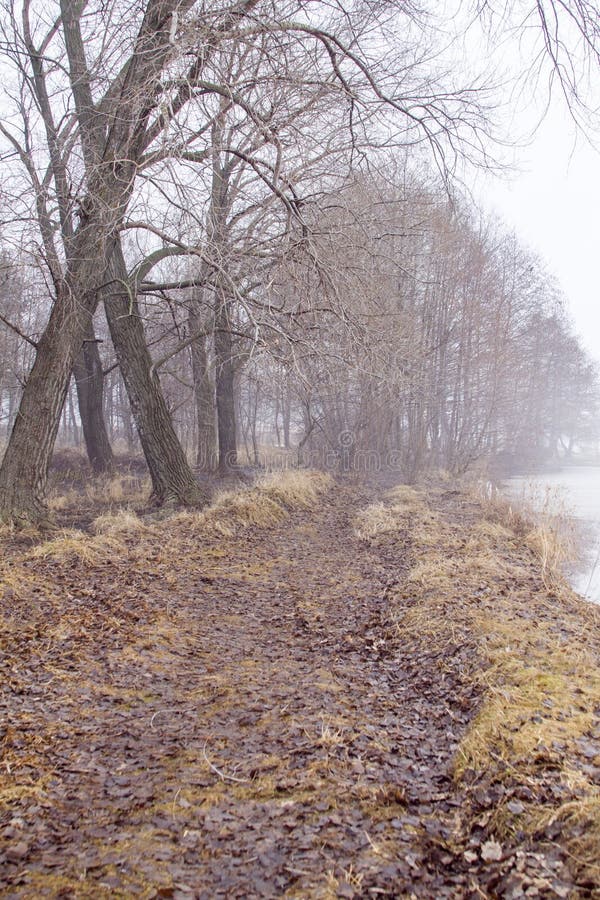 Fog on the shore stock photo. Image of mist, beauty, scene - 89201598