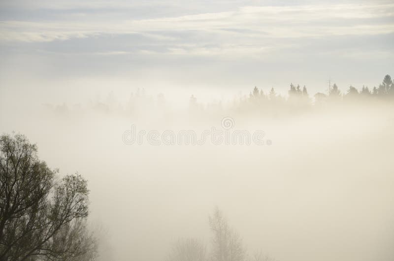 Fog, Sky, Mist, Morning Picture. Image: 112842608