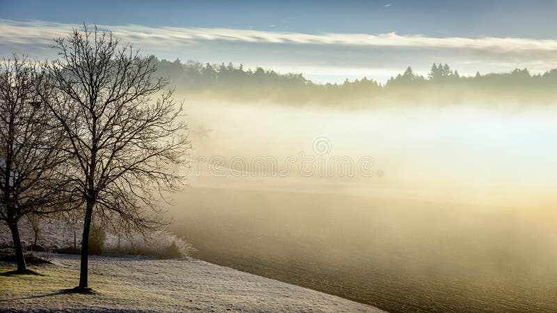 Fog, Sky, Mist, Morning stock photo. Image of morning - 98991214