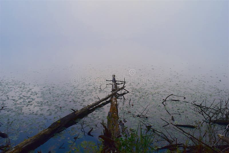 Fog, Sky, Water, Mist Picture. Image: 112841180
