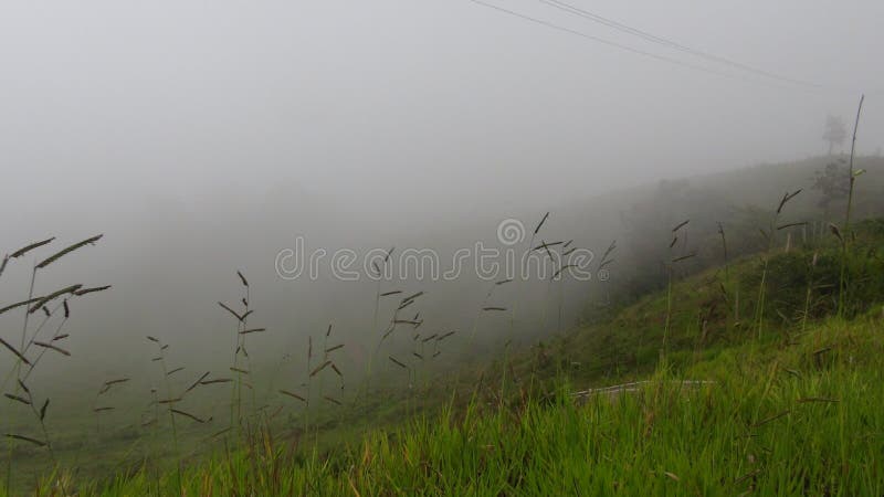 Fog Smog or Mist stock image. Image of misty, precipitation - 80996825