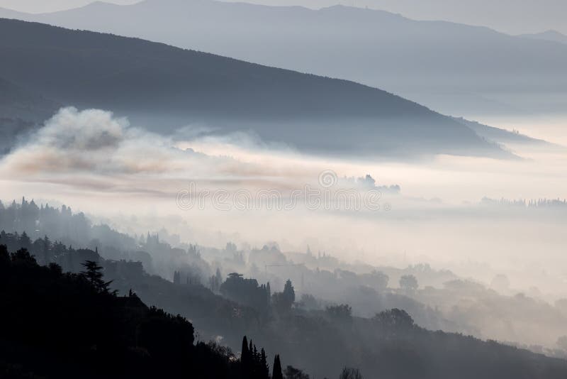 Fog and smoke stock photo. Image of haze, haunting, forest - 95327266