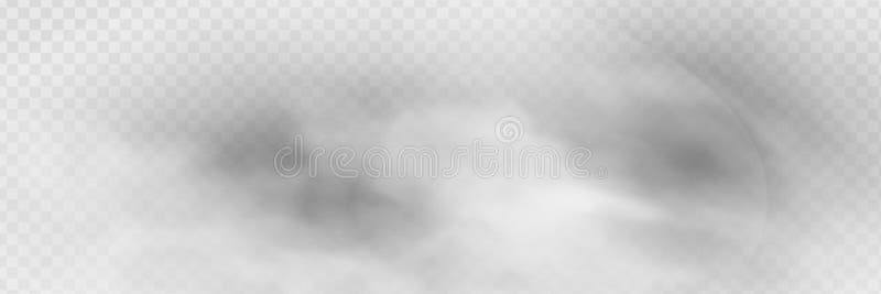 Fog or Smoke Isolated Transparent Special Effect. White Vector ...