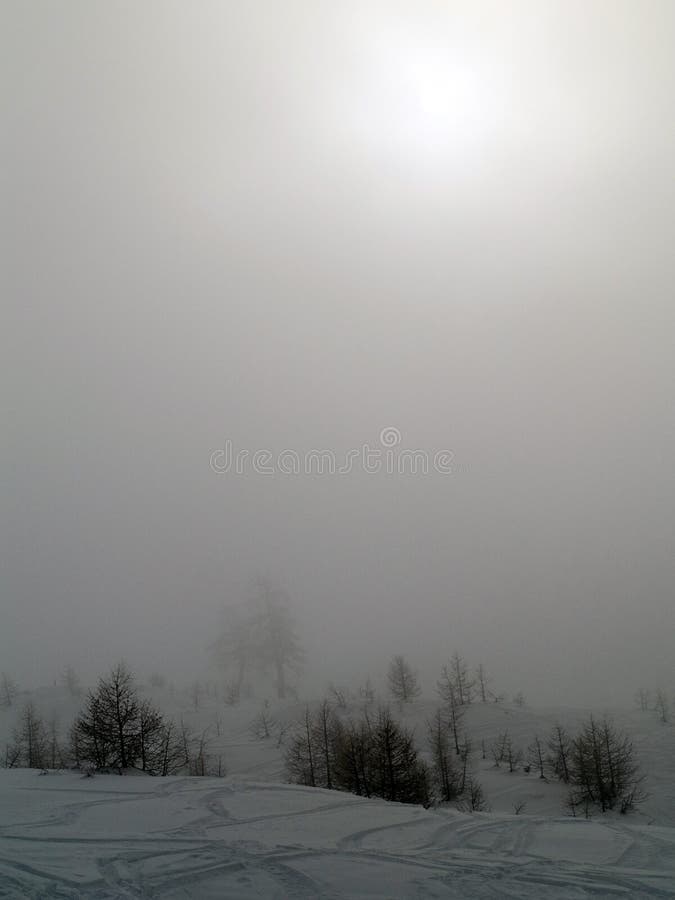 Fog and snow stock photo. Image of cool, frozen, jump - 4353794