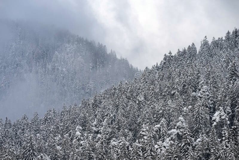 Fog and Snow Covering Mountains Stock Photo - Image of wind, sunlight ...