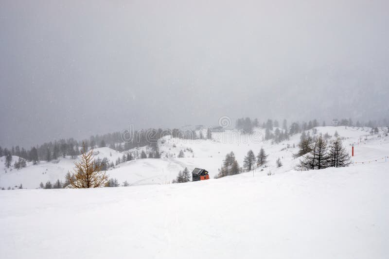 Fog and Snow at the Top of a Ski Slope with Reflective Signs. Active ...