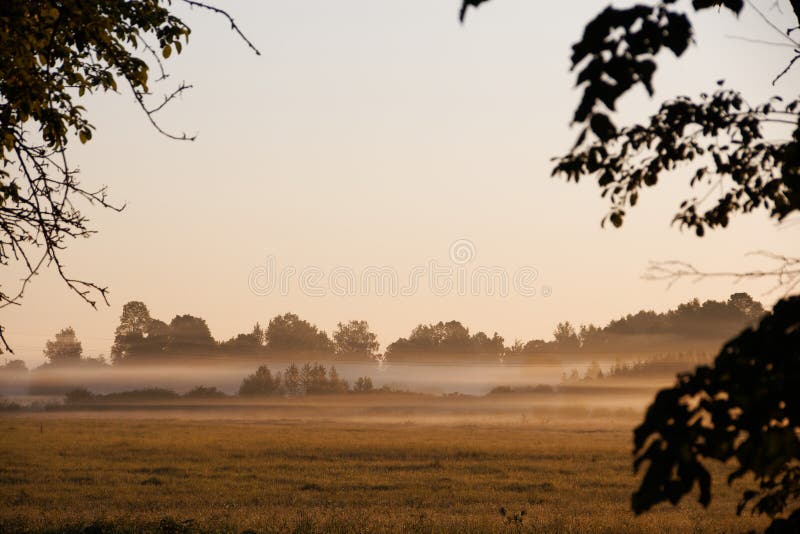 Fog Spreads Over the Field in Spring Stock Image - Image of dawn ...