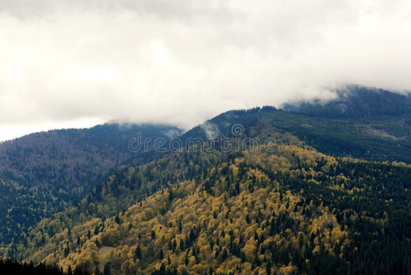 Fog in spring mountains stock photo. Image of misty, beauty - 76913474