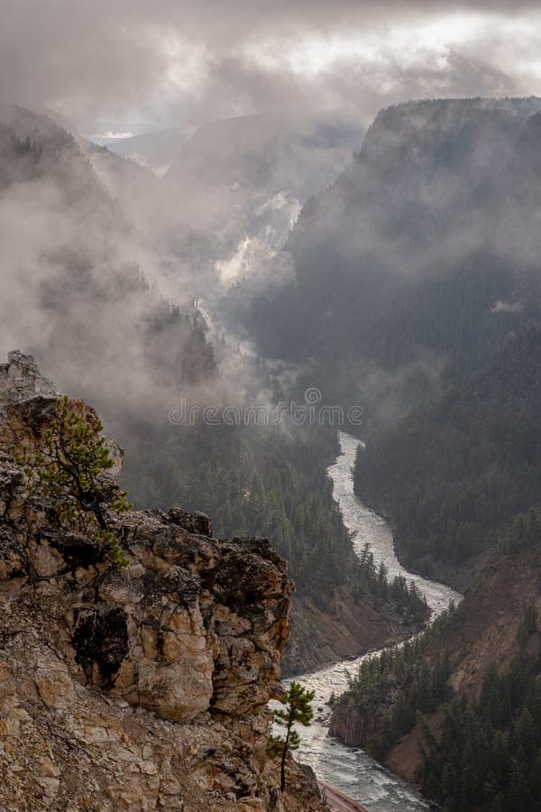 Fog and Steam Mix Over Yellowstone River Stock Image - Image of ...