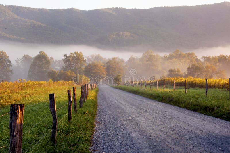 Fog and Sun Rises on a Country Lane. Stock Photo - Image of rural ...