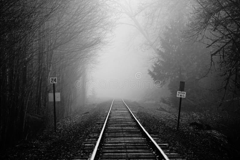 Into the Fog Shelton Washington USA Stock Image - Image of fall, spooky ...