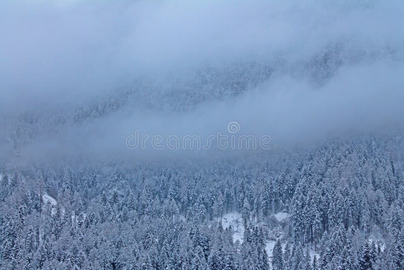 Fog, Trees and Snow in a Winter Panorama Stock Image - Image of ...