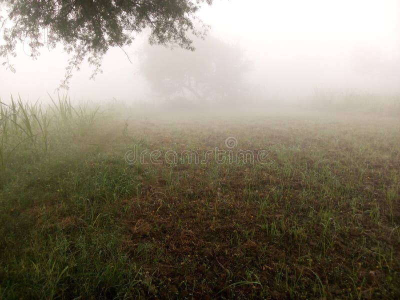 Fog in Village Smog Pullution Smoke in Village Stock Photo - Image of ...