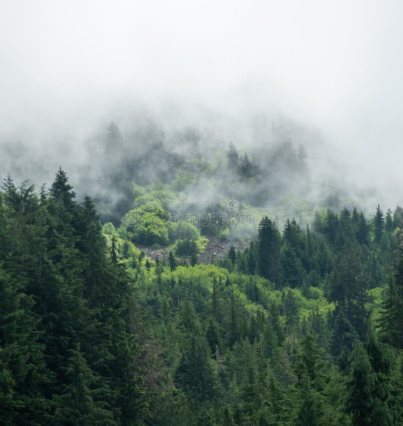 Fog Wafts Down into Trees Below Mount Olympus Stock Image - Image of ...