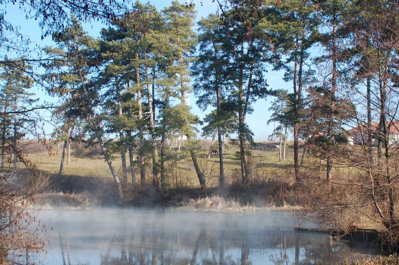 Fog on the water stock photo. Image of lake, water, pine - 12740524