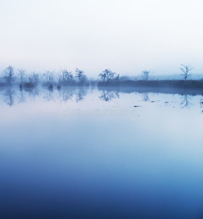 Fog in the water stock image. Image of watery, peaceful - 85331663