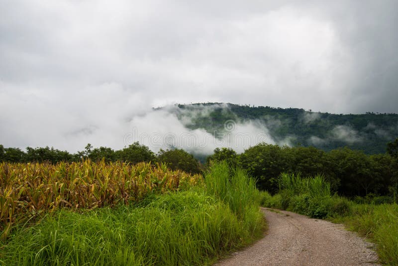 Fog Wind flow stock photo. Image of forest, long, mountain - 58453672